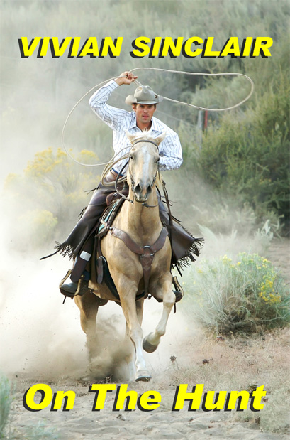 Vivian Sinclair Books